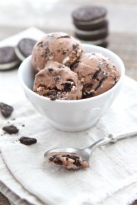 Homemade Ice Cream Recipes The Idea Room