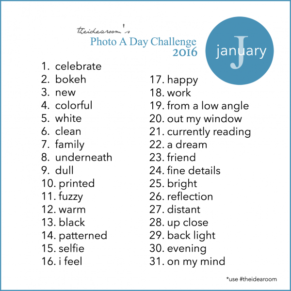 January Photo A Day 2016 - The Idea Room