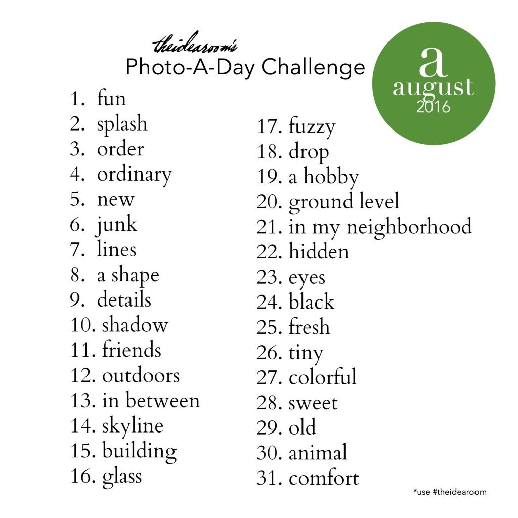 August Photo A Day Challenge - The Idea Room