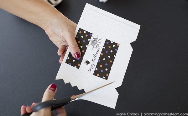 Free Printable Halloween Favor Boxes