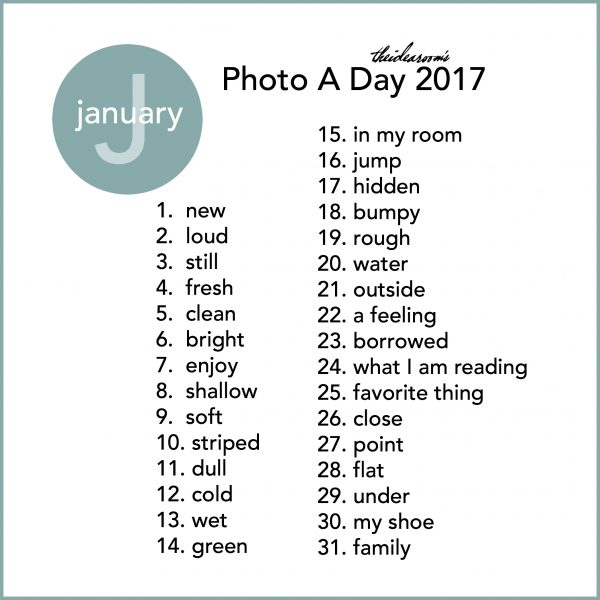 January Photo A Day Challenge 2017 - The Idea Room