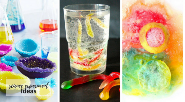 Summer Bucket List - The Idea Room