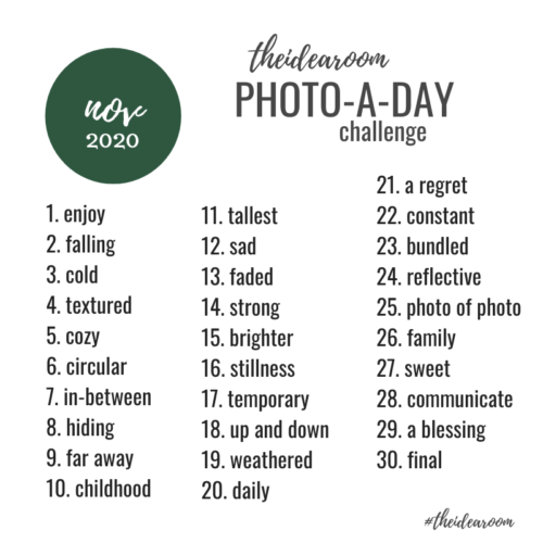 November Photo of the Day Challenge - The Idea Room