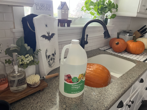 How to Preserve Pumpkins So They Last Longer - The Idea Room