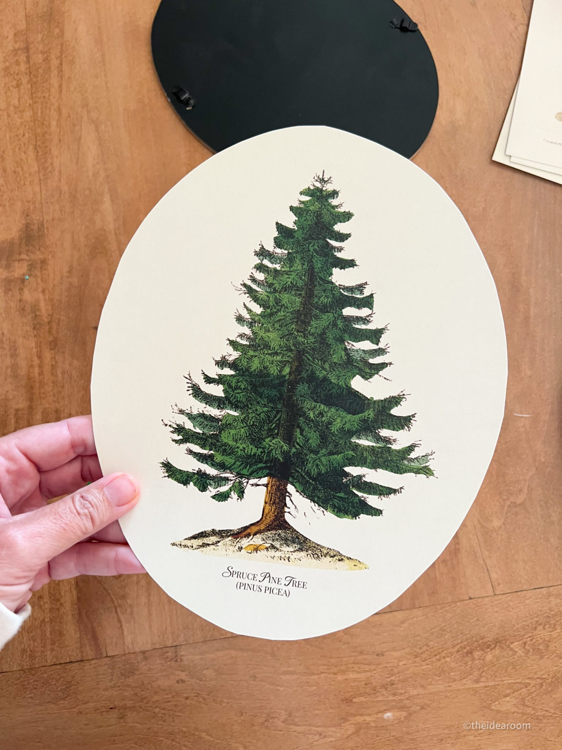 How to Make Picture of a Tree: Evergreen Art Dupe - The Idea Room